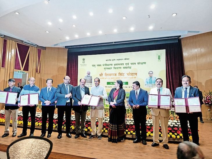 Avikanagar Institute's Avishan sheep gets ICAR registration