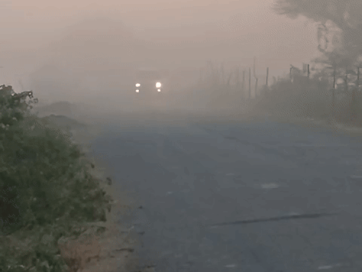 MP Cold Wave: Bhopal, Indore Chill; Gwalior-Chambal Fog