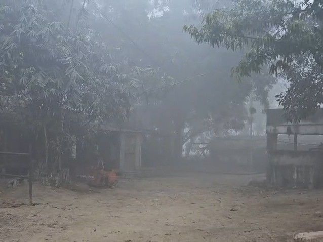 Kanauj Dense Fog | Potato & Mustard Crops Crisis