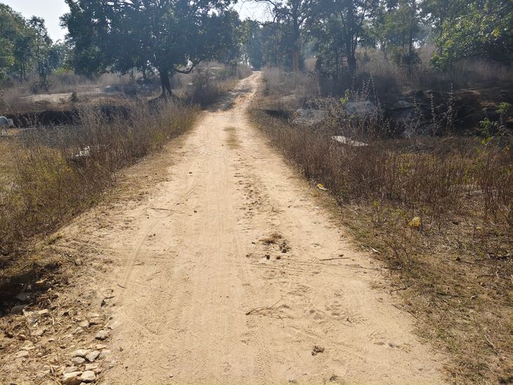 Babhani Villagers Demand Pucca Road Construction | 15 Years Wait