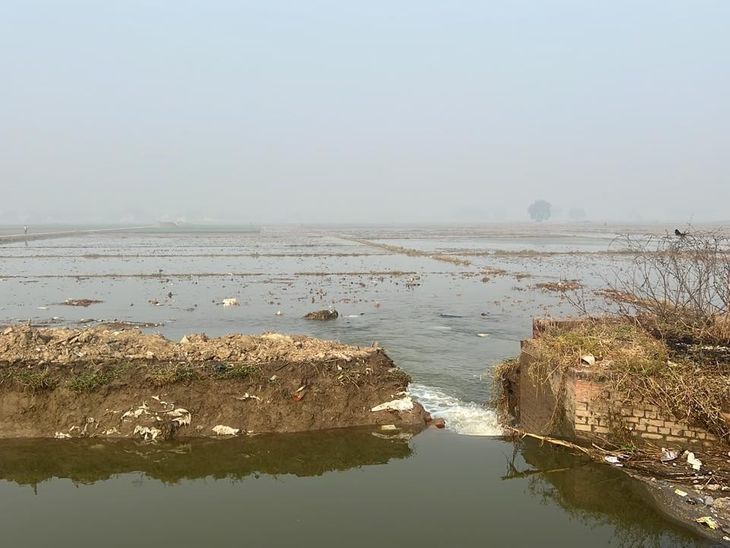 Sadalpur Embankment Breach Sparks Farmer Outrage | Crops Drown