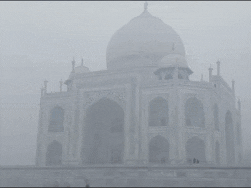 Agra Fog Alert | Cold Wave Grips City; Temp Dips to 6°C