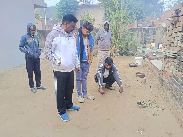 Khetri Leopard Scare | Forest Dept Investigates House Intrusion