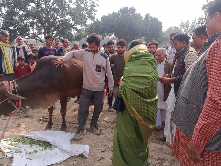 Jamo Animal Market Inaugurated | Shri Shankar Buddhe Baba Temple