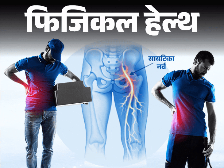 What is Sciatica Pain? Treatment & Precautions; Lower Back Pain Reason