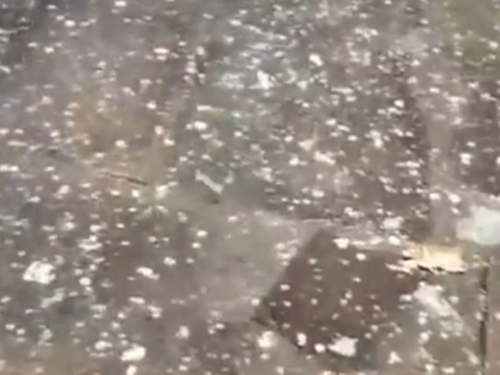 Madhya Pradesh Hailstorm Destroys Mustard, Chana Crops in Kailaras ...