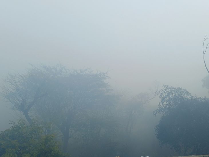 Fatehpur Sikri Crop Damage: Mustard, Potato Harvest at Risk Due to Rain ...