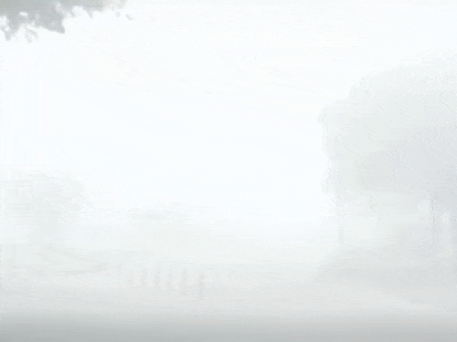 Punjab Rain Alert | Foggy Mornings, Colder Nights; Amritsar Coldest