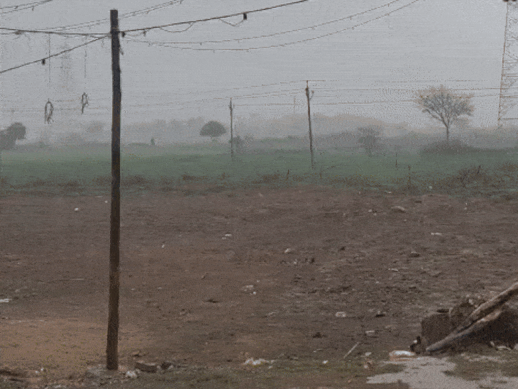 Bhind Cold Wave Alert | Rain Benefits Crops | Weather Update
