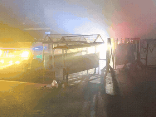 Agra Fog Disrupts Trains | Cold Wave Continues, Visibility Low