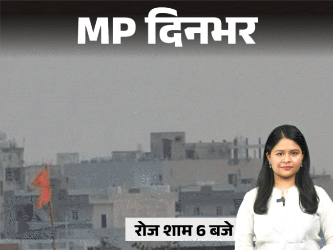 MP Murder Case Acquittal | Tigress & Cubs Spotted; Arrest Reel
