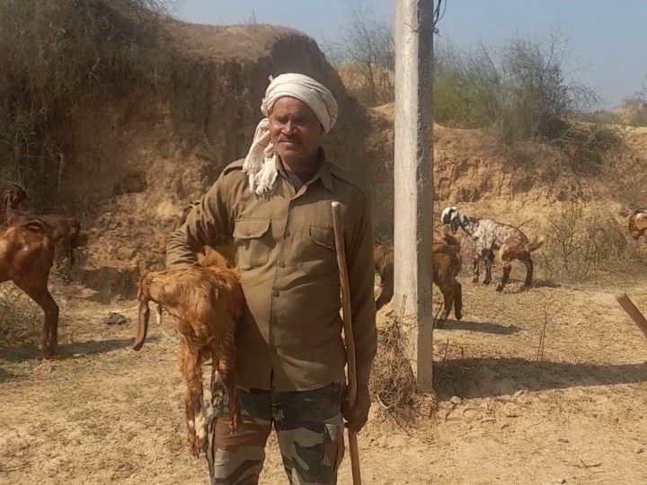 Basouni Wild Animal Attack | Goat Dragged From Herd at Kenjra Ghat