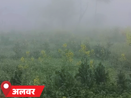 Rajasthan Weather Update; Cold Wave Alert | Jaipur Fatehpur Nagaur