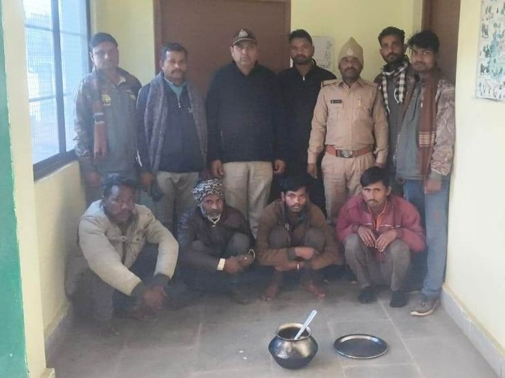 Tiger Reserve Poaching: Wild Boar Hunted, 4 Arrested