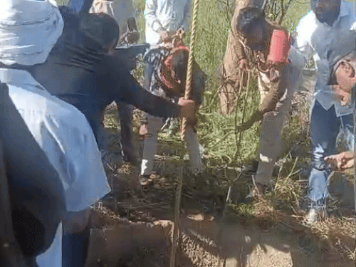 रेवाड़ी में कुएं में गिरा नीलगाय का बच्चा: ग्रामीणों ने रस्सी बांधकर ...