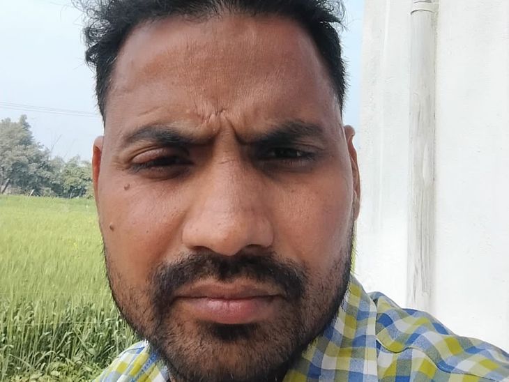 Kudi, UP: Bees Attack Injures Consumers & Animals, Causes Chaos