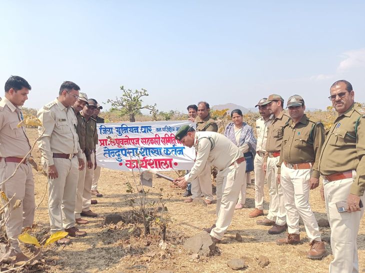Nalchha: Tendu Leaf Quality Boost Training | Scientific Pruning Method