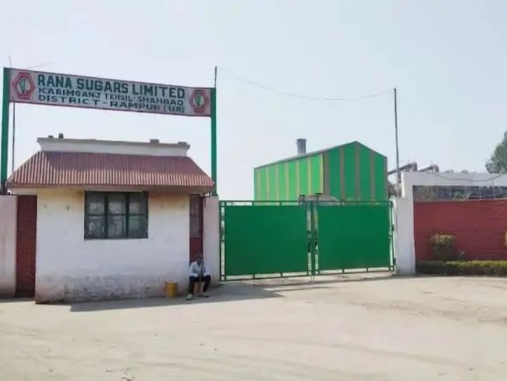 Rana Sugar Mill Farmers Paid in 14 Days | 13% Due Soon