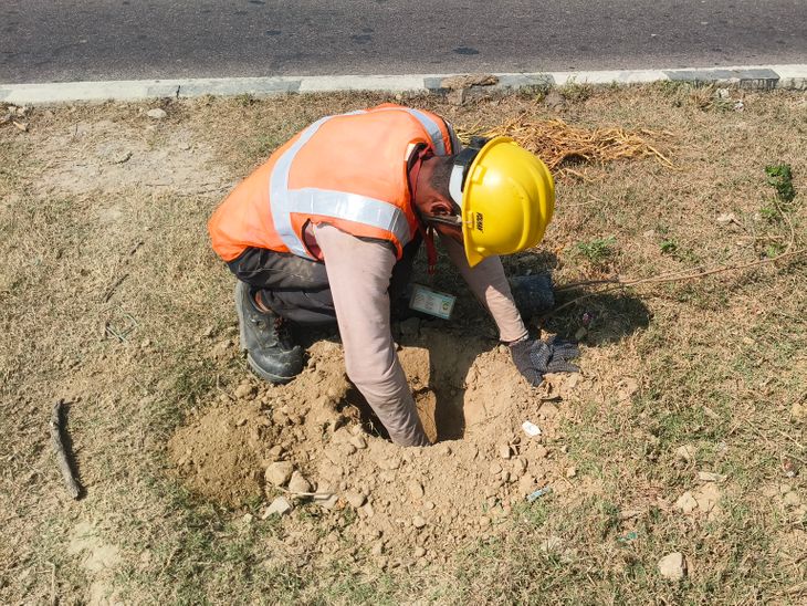 Milky Pur Kuchera Market: Hariom Singhs Team Gives Care Instructions ...