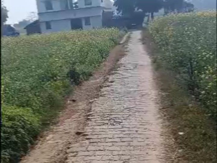 Maya Bazaar Arwat Road Accidents | Villagers & School Kids Injured