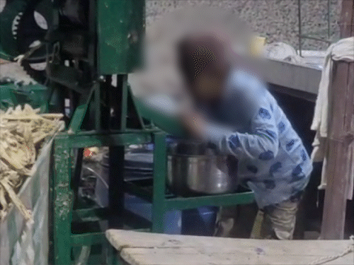 Lucknow Ganne Ka Ras Machine Barf Chata VIDEO Viral