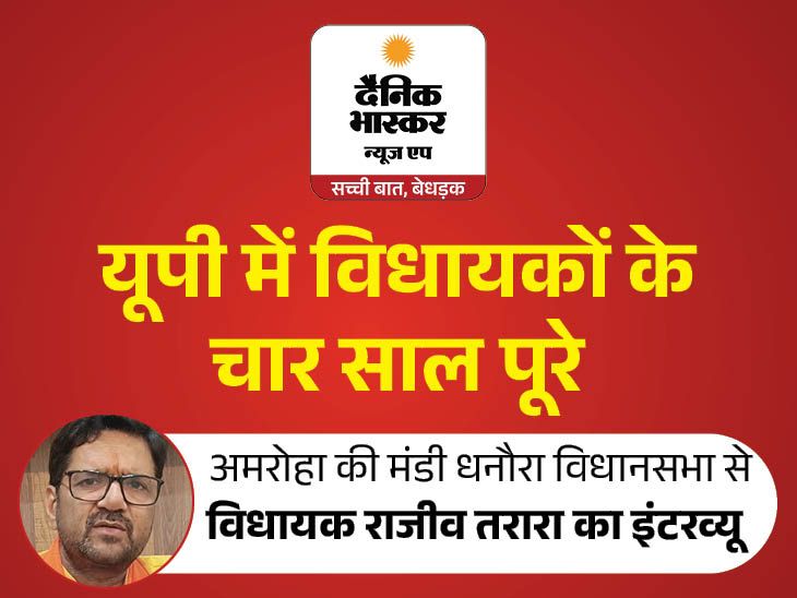 Mandi Dhanora Khadar Region Linked Bridge; Rajiv Tarara Says Need ...