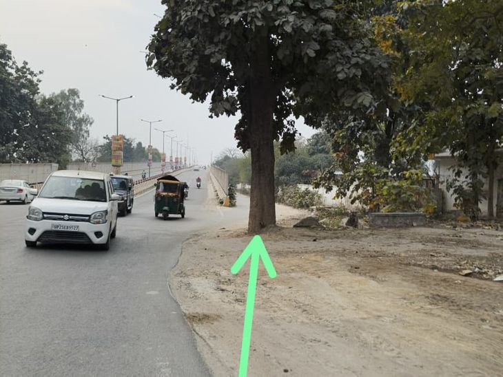 Bareilly Parshuram Setu Visibility Hazard | Lal Phatak Tree Accident Cause
