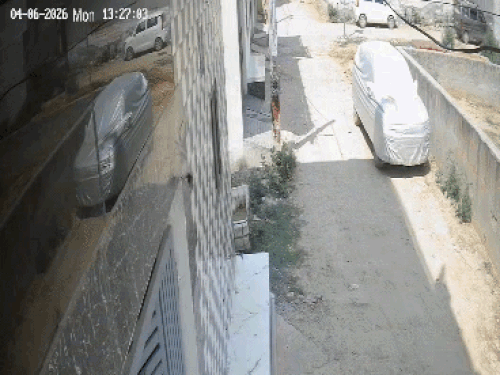 Gurugram School Van Crushes 8-Year-Old Boy To Death