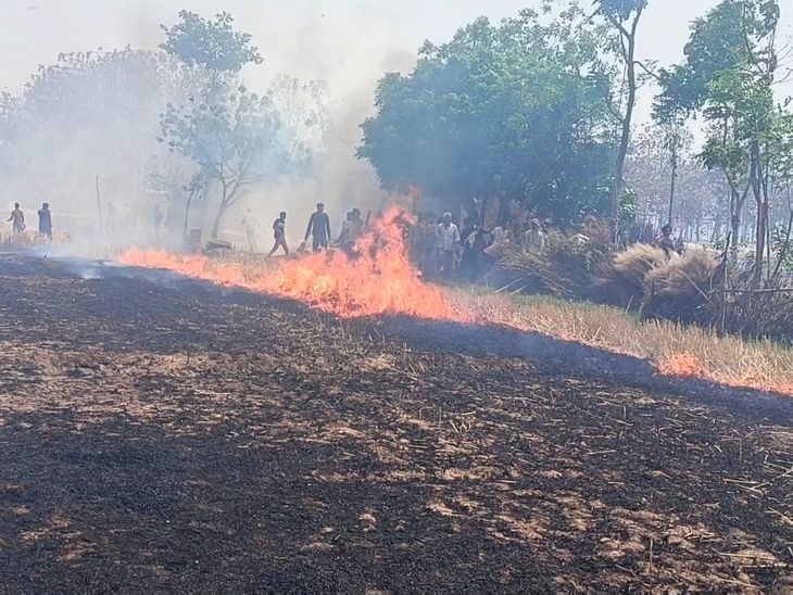 Lal Fire Destroys Hut, Crop, Cash; Farmers Face Huge Loss