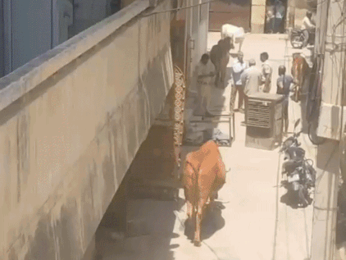 Alwar Tehsildar Encroachment Removal Controversy | Collector Order