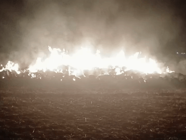 Wheat Crop Fire in Khaspur Village, Sambhal | Farmers Years Hard Work Burnt