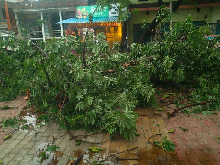 Dullahpur Storm Damage | Tin Sheds Blown Away, Power Outage