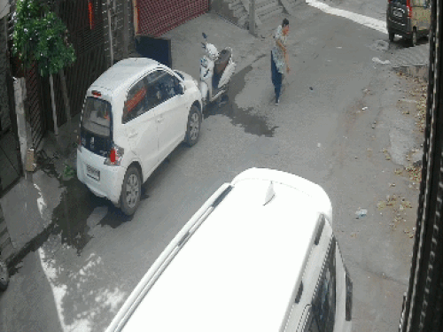 Faridabad Monkey Attack | NIT 2B Block Woman Attacked Video | Jungle Raj