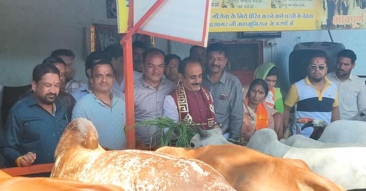 Newly appointed UDA president Solanki honored at cow shelter, served cows
