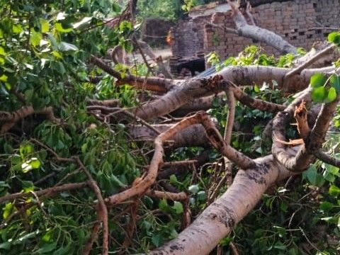 Azamgarh Power Outage | Transformer Failure, Salempur Storm Damage