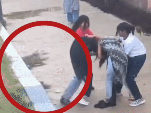 Gorakhpur Nauka Vihar Girls Fight Video | Brawling Controversy
