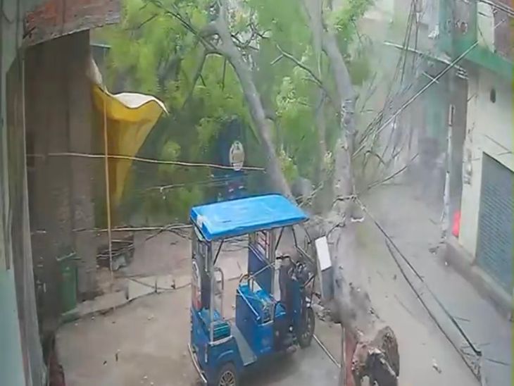 Mau Storm: Tree Falls, Power Outage Hits 3000 Homes