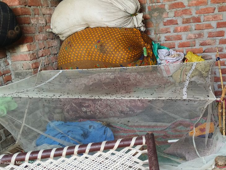 Dehradun Murgi Farm Flies Outbreak | Gaon Pareshan