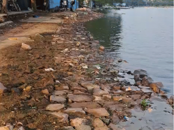 Bhopal Chhota Talab NGT Panel Probe | Pollution Action