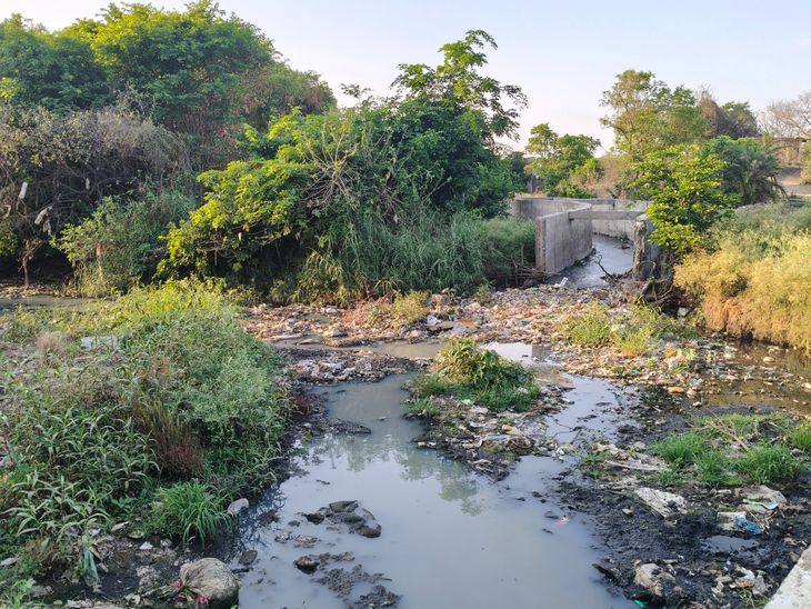 Harda Rivers Sewage Pollution | Narmada Affected; Jal Ganga Abhiyan Fails