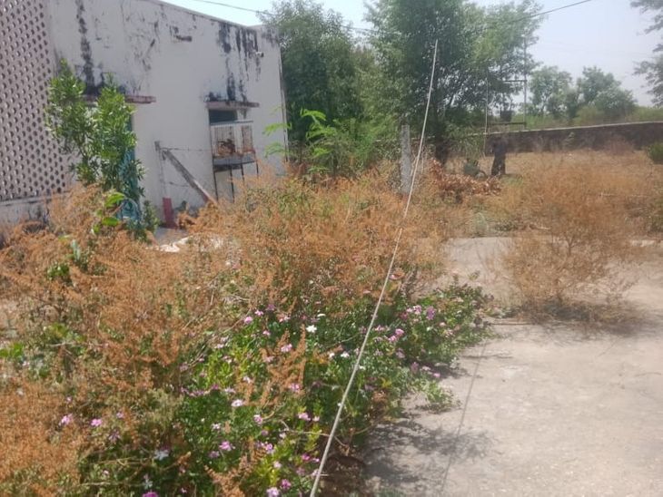 Kankerva PHC 11KV Wire Breaks Near OPD Time; Major Accident Averted