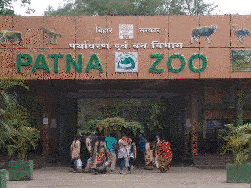Patna Zoo Reopens Tuesday | Trees Fall Due to Rain