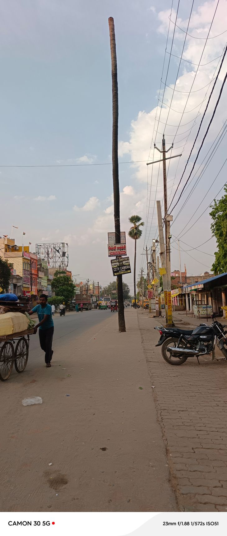 A dry tree standing like a pillar in the middle of the road in Mohania ...