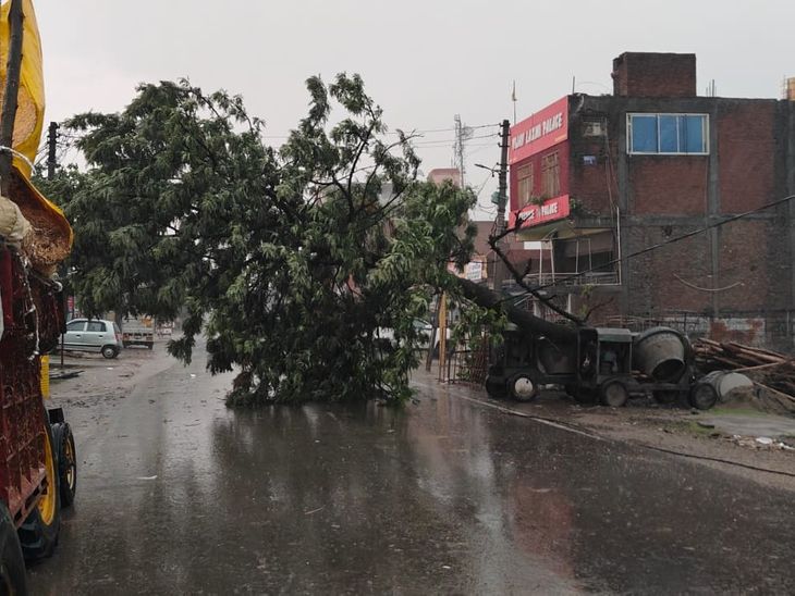 Fatehganj Pashchimi Tree Fall Disrupts Traffic, Power