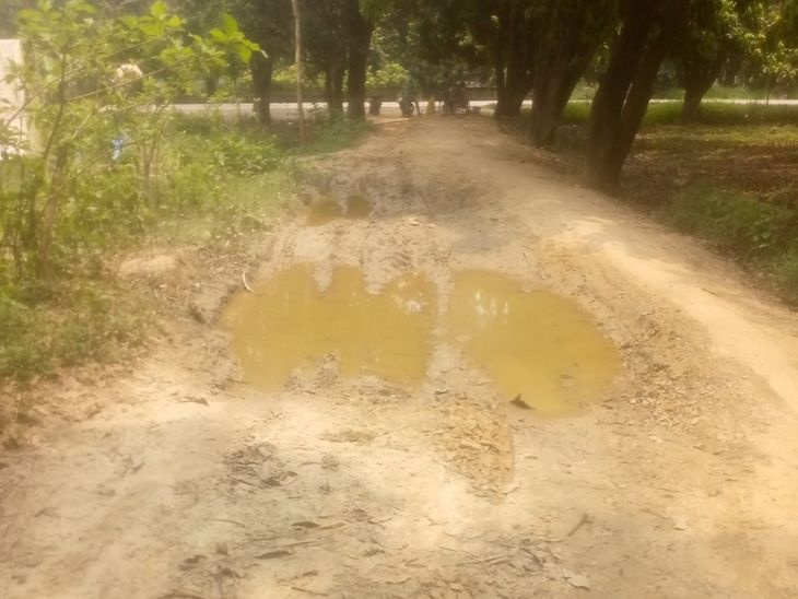Sitapur Villagers Demand Paved Road | Badharia Talab to Madarpur