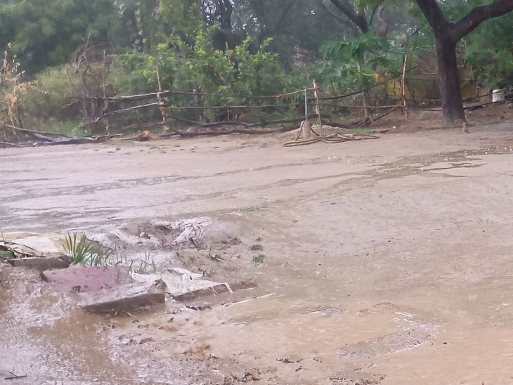 Deeh Raebareli Rain Relief: Veggies Benefit, Urad Crop Faces Risk