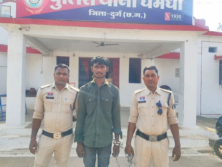 Dhamdha Cattle Smuggling Bust: 5 Cattle Seized, 1 Arrested in Durg