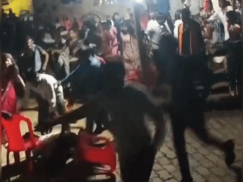 Kaushambi Wedding Fight | Baraati-Gharati Clash Over Photos; Chairs Thrown