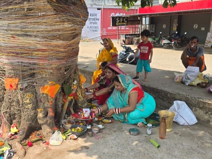 Kondagaon Vat Savithri Vrat: Women Pray for Unbreakable Auspiciousness