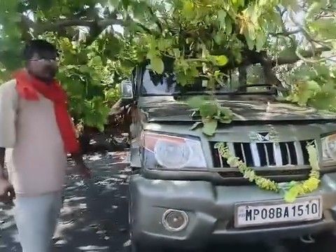 Vidisha Tree Fall Accident | Bolero Hit, Khader Village